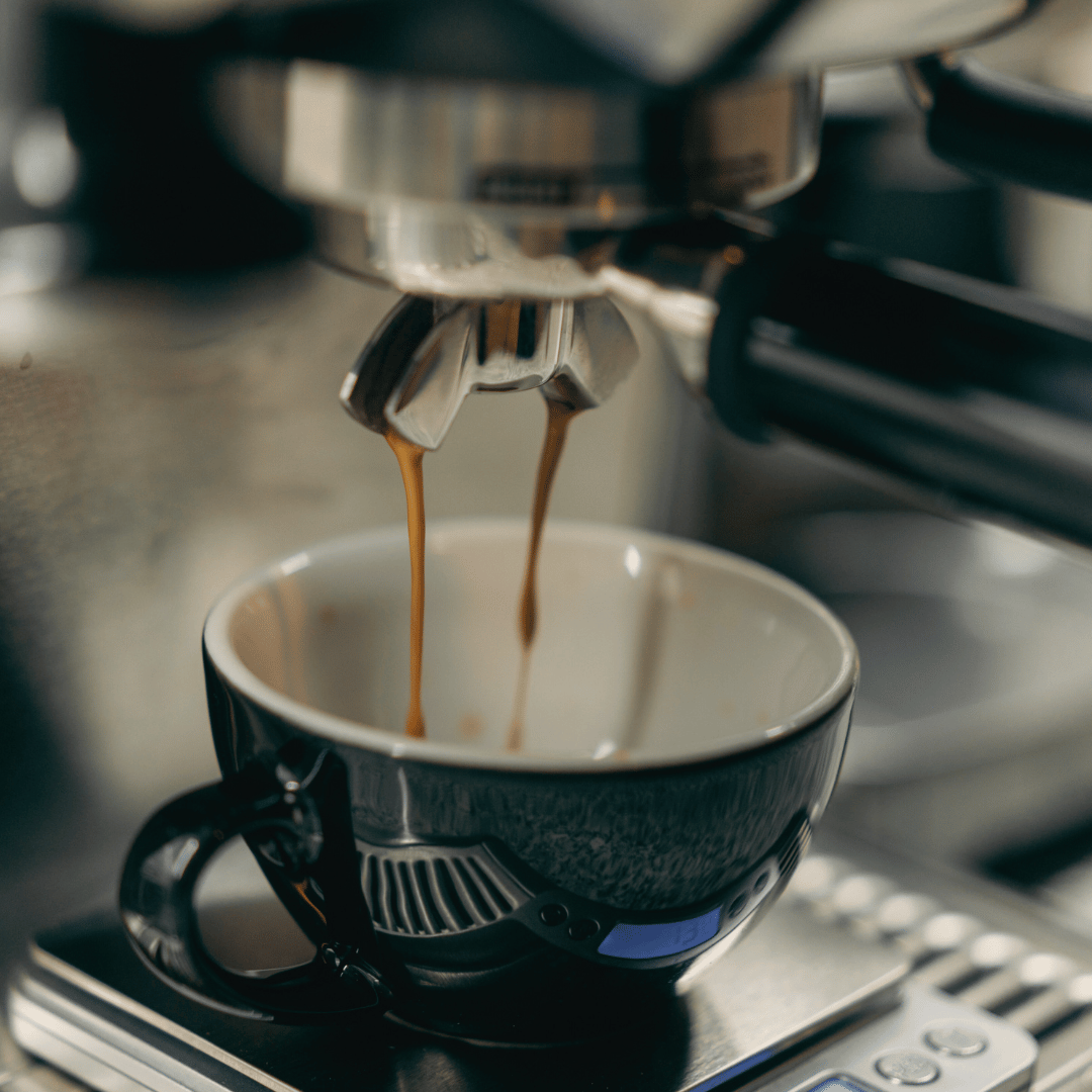 Latte art for begyndere: Sådan kommer du i gang – Copenhagen Coffee Dealers