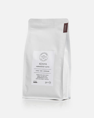 Cappuccino opskrift: Sådan laver du den perfekte cappuccino derhjemme ...